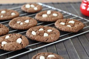 Passover Chocolate Chip Cookies - This recipe is amazing!